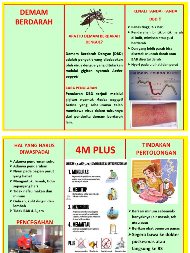 Mengenali Demam Berdarah Dengue: Tanda-tanda, Gejala, Pencegahan, dan ...