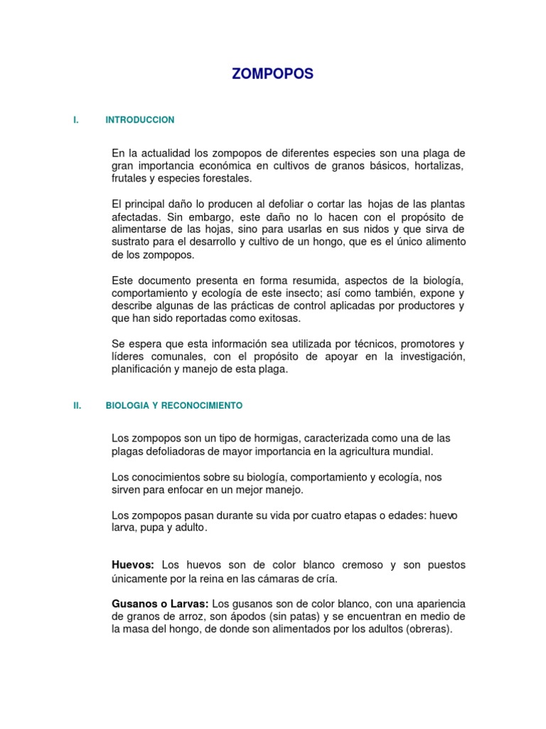 Zompopos | PDF | Insectos | Arboles
