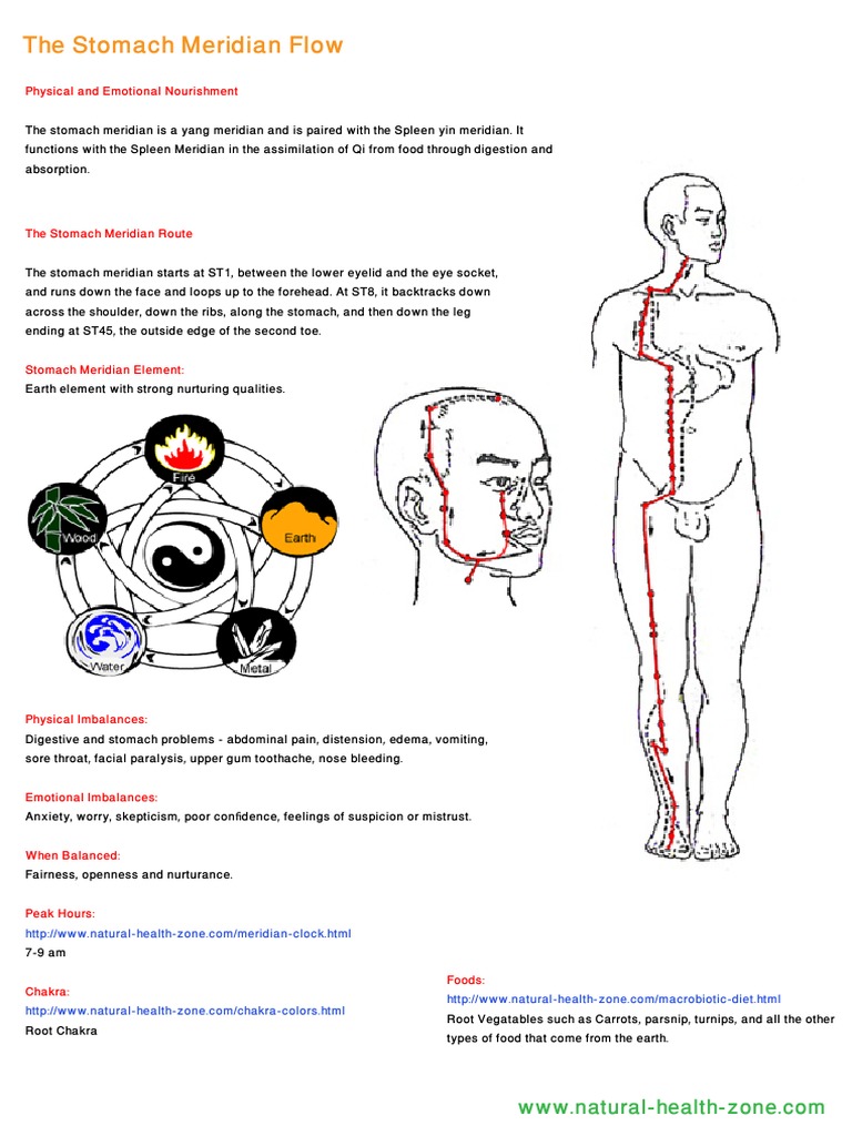 Stomach Meridian Flow | PDF