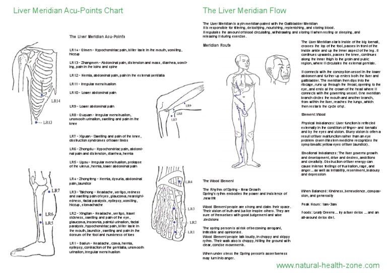 Liver Meridian Acu-Points Chart The Liver Meridian Flow | PDF | Abdomen ...