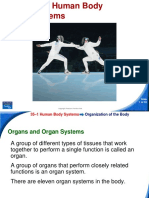 The Human Body Systems Power Point | PDF | Human Body | Blood