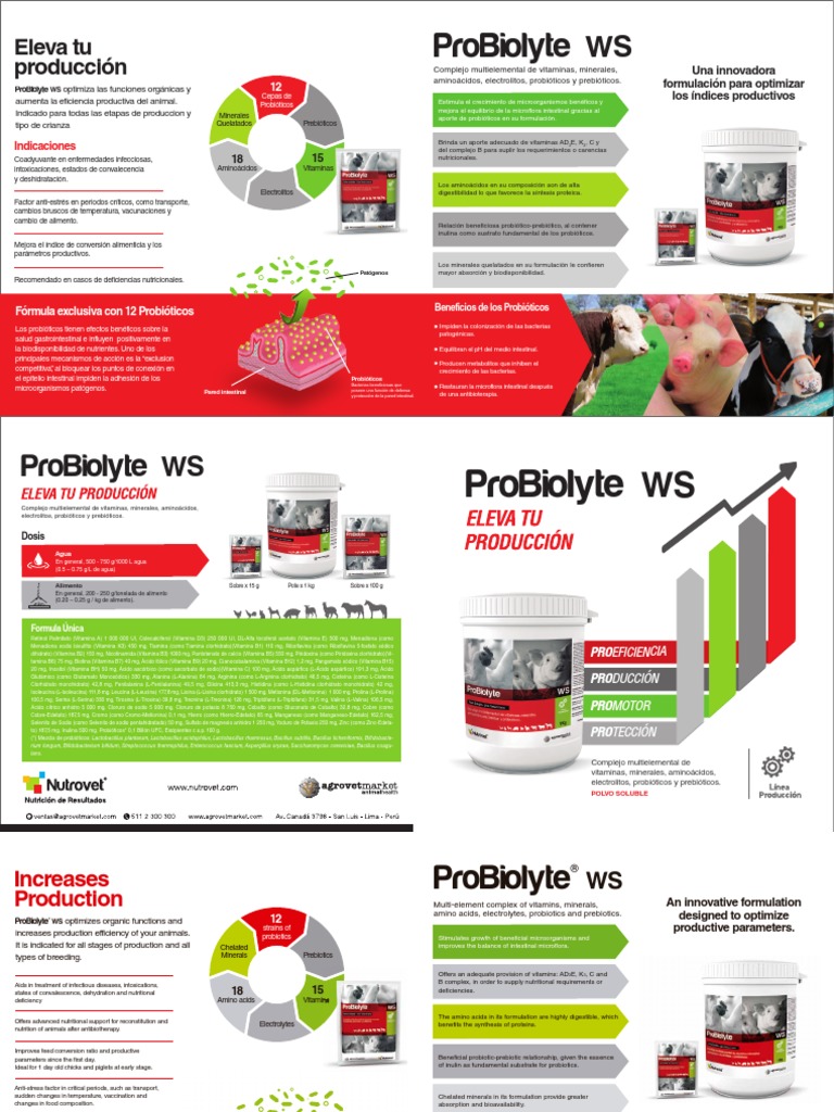 Probiolyte-Ws 147 | PDF | Biomoléculas | Nutrientes esenciales