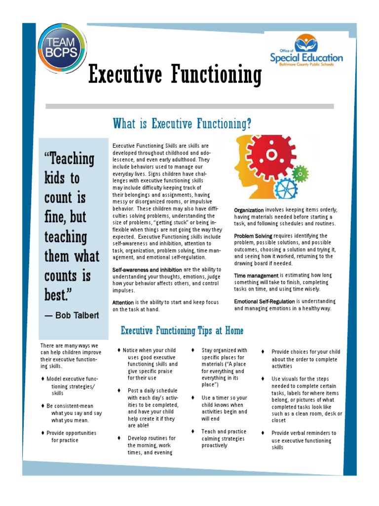Executive Functioning Strategies | PDF | Executive Functions ...