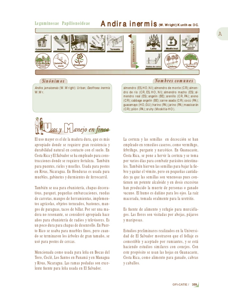 Andira inermis: Usos y características | PDF | Arboles | Los bosques