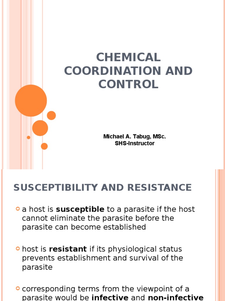 Animal Immune System | PDF | Adaptive Immune System | Immune System