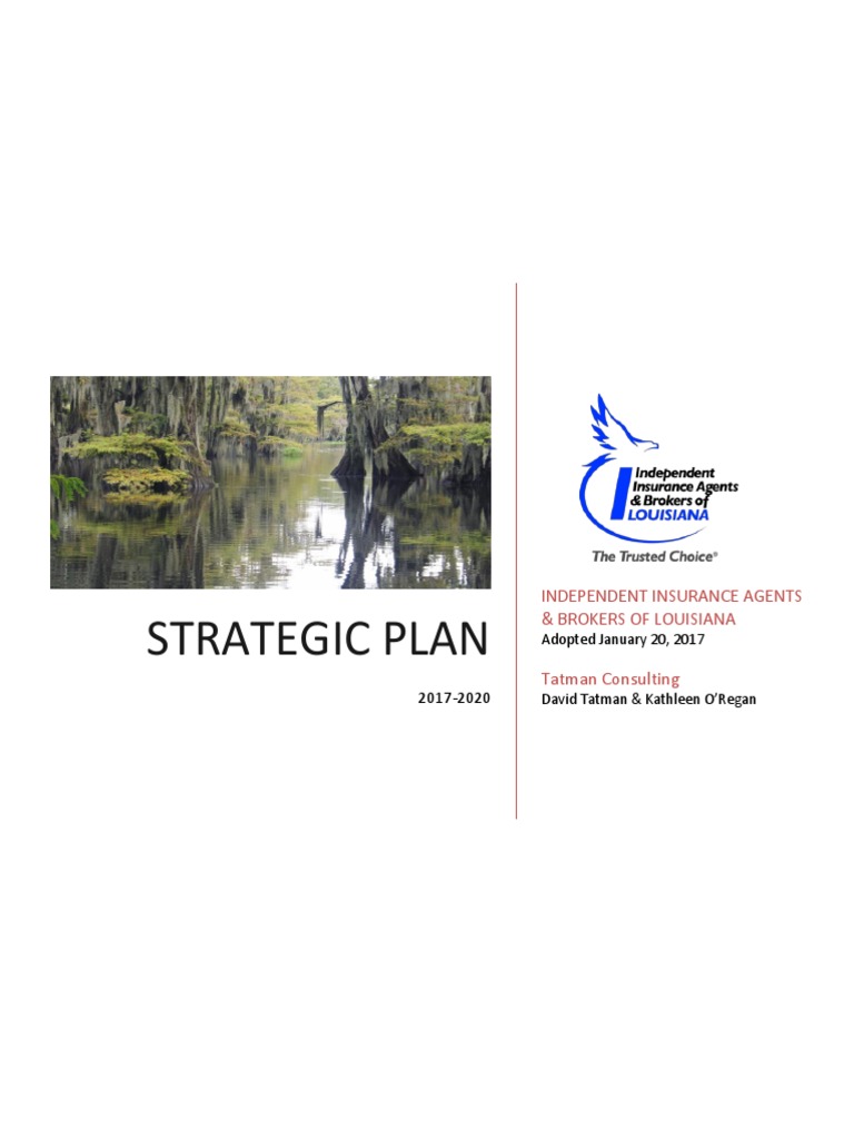 2017-2020 IIABL Strategic Plan | PDF | Swot Analysis | Strategic Planning
