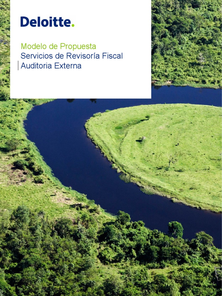 Modelo Auditoría - 2015 Deloitte | PDF | Auditoría | Contabilidad