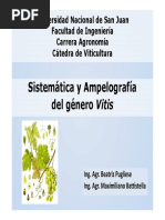 Morfología de Frutos: Silicua y Cipsela | PDF | Fruta | Morfología Vegetal