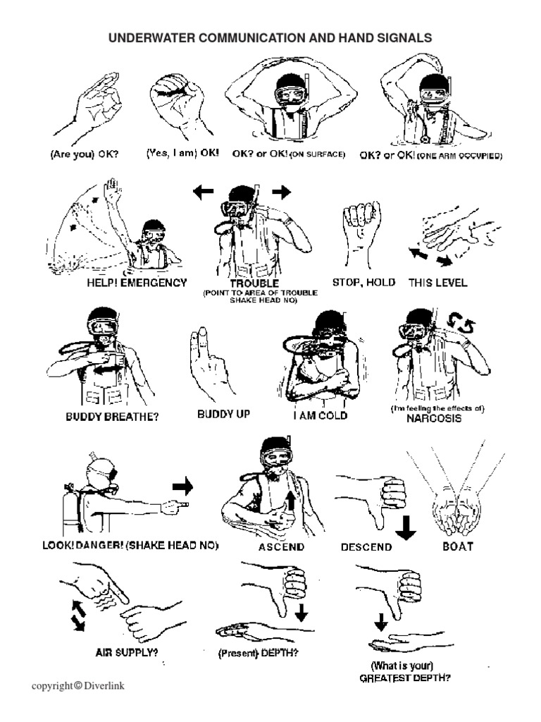 Underwater Communication and Hand Signals: Diverlink | PDF