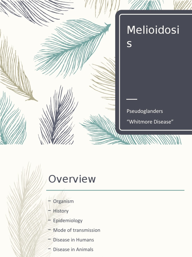 Melioidosi S: Pseudoglanders "Whitmore Disease" | PDF | Animal Diseases ...