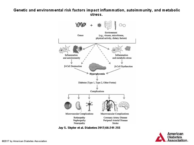 Genetic and Environmental Risk Factors Impact Inflammation ...