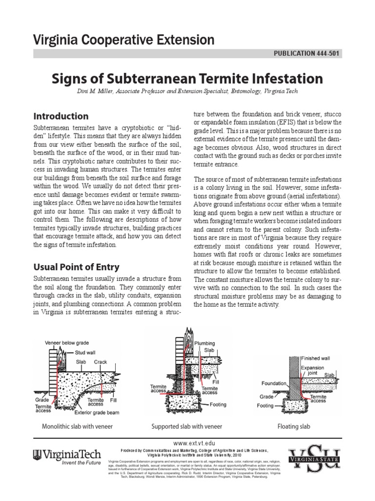 Signs of Subterranean Termite Infestation | PDF | Agriculture | Nature