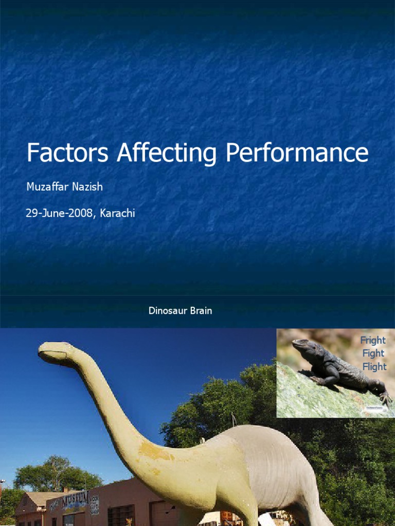 Workplace Performance Factors | PDF | Goal | Motivational