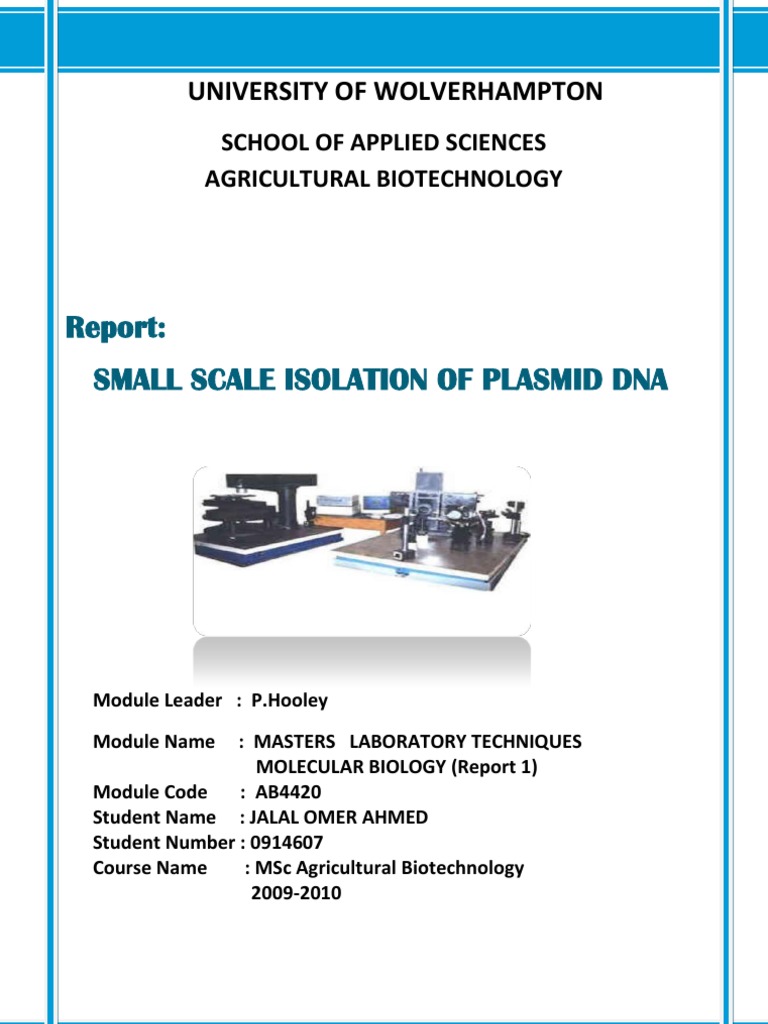 Final Report of Molecular Biology | PDF | Gel Electrophoresis | Plasmid