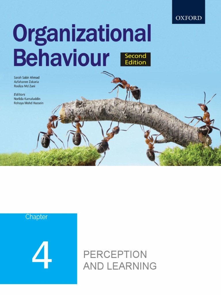 Teaching PowerPoint Slides - Chapter 4 | Download Free PDF | Perception ...