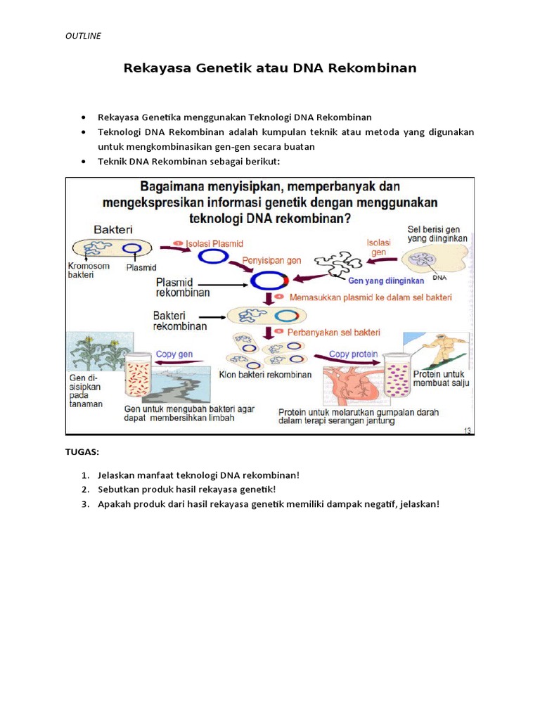 Rekayasa Genetik dan Manfaatnya | PDF