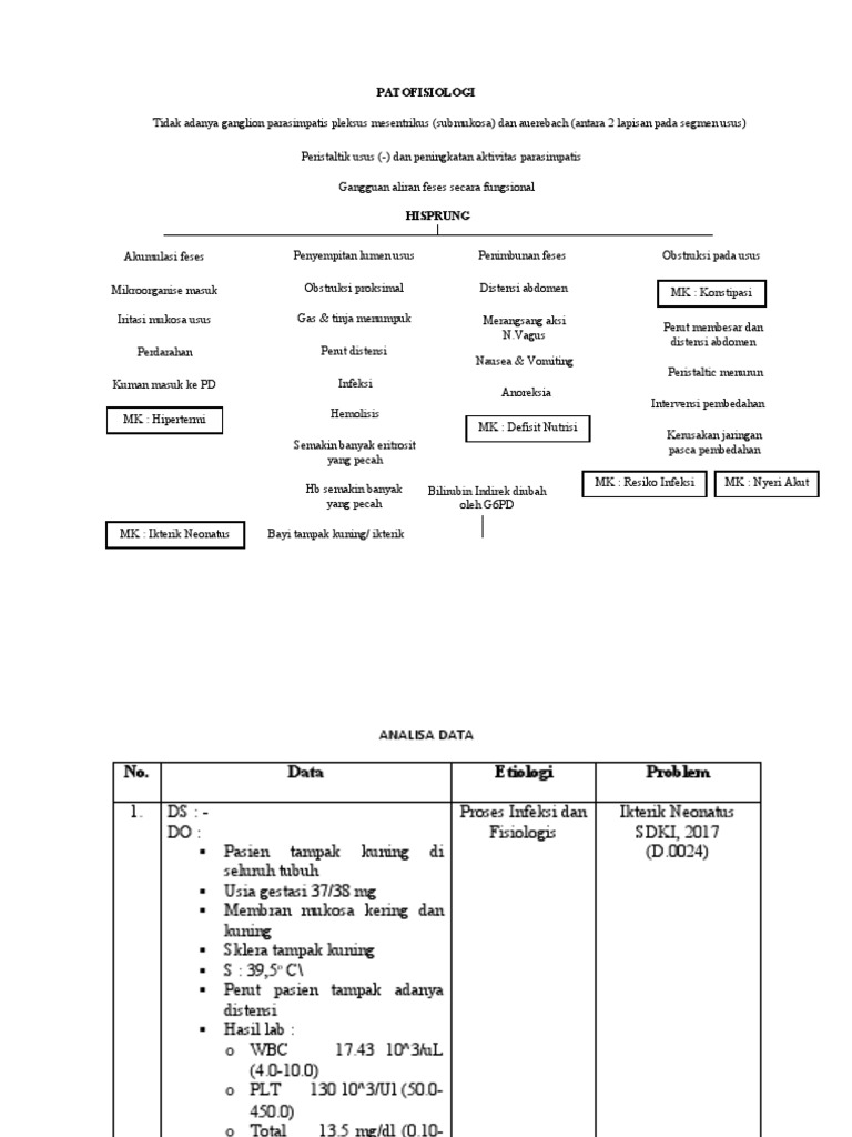 Tugas Kep. Anak Kasus Hisprung | PDF