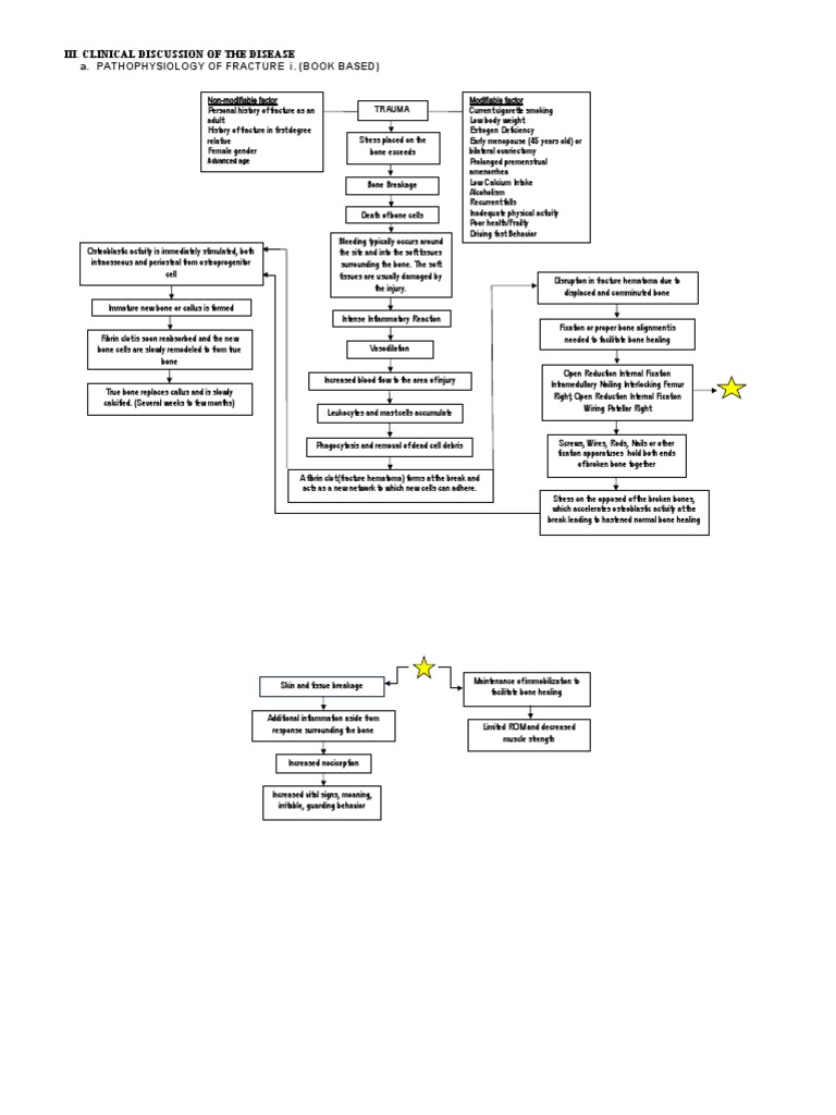 Fracture Healing: Pathophysiology & Factors | PDF | Bone | Healing