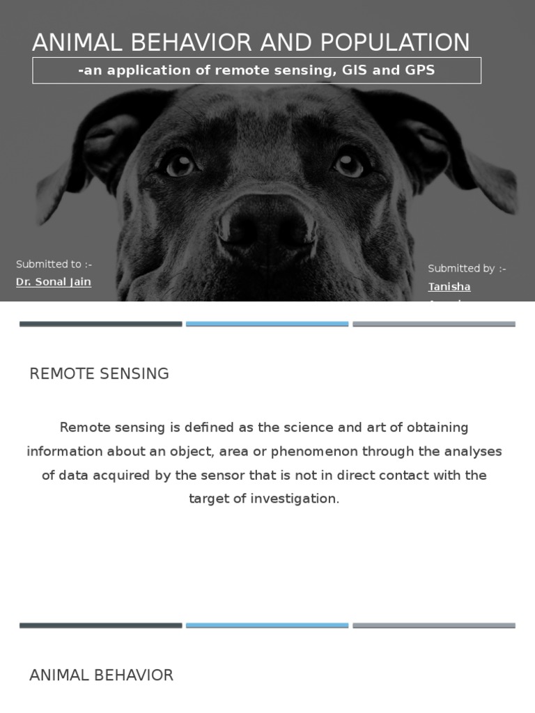 Remote Sensing in Animal Behavior | PDF | Telemetry | Radio