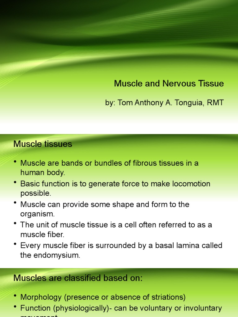 Muscle and Nervous Tissue | PDF
