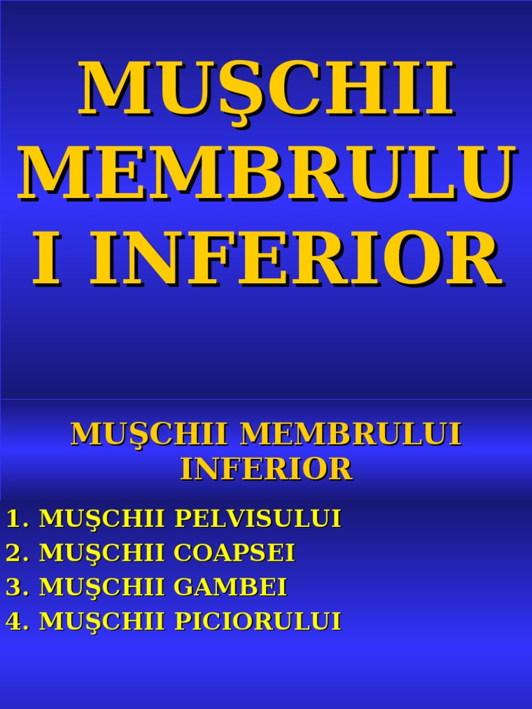 Membrul Inferior | PDF