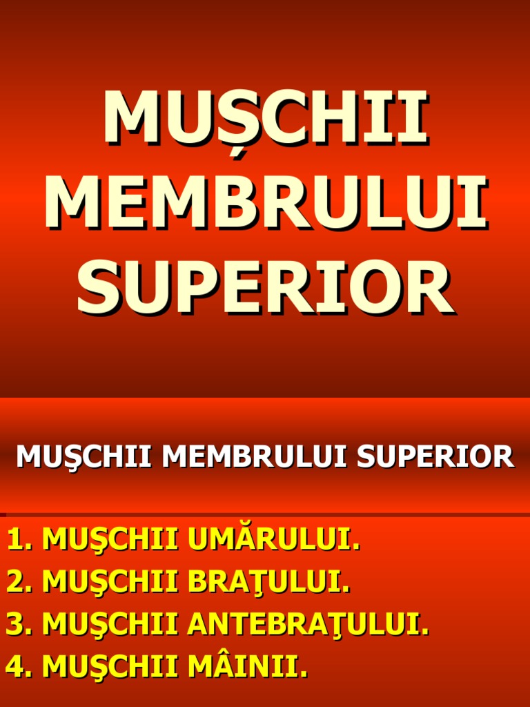 Membrul Superior | PDF