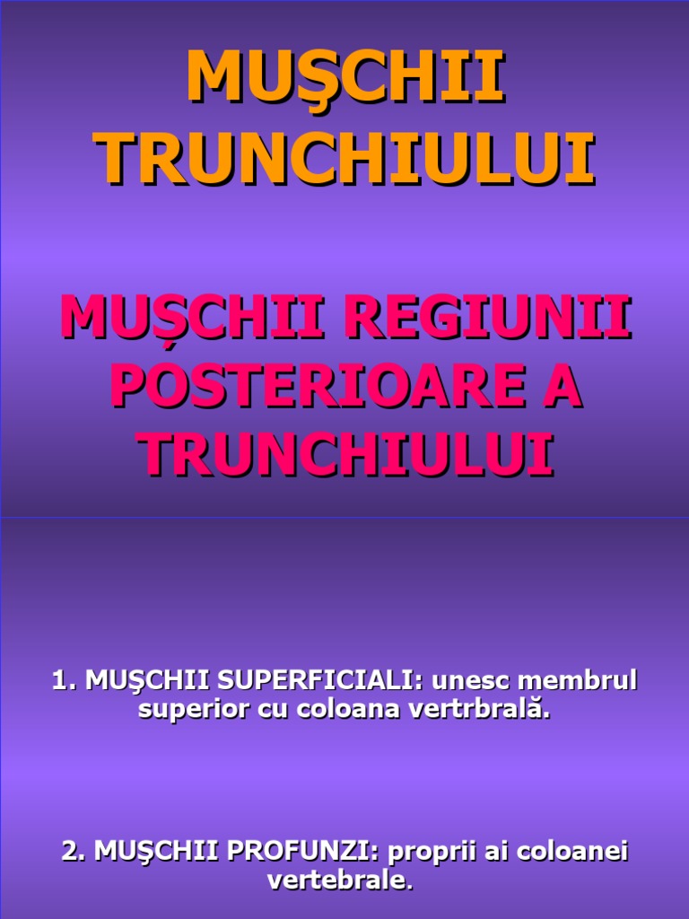 Trunchi | PDF