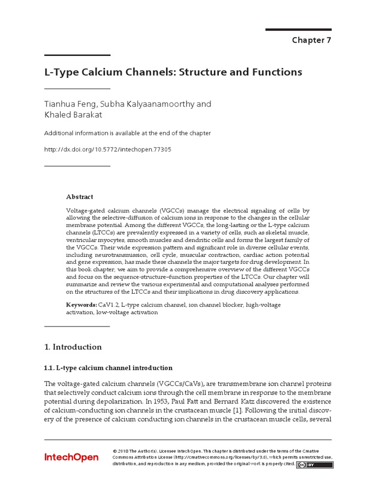 L-Type Calcium Channels: Structure and Functions | PDF | Ion Channel ...