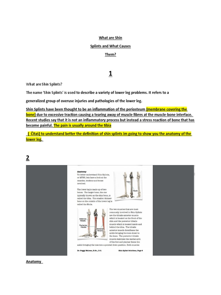Shin Splints | PDF | Human Leg | Foot