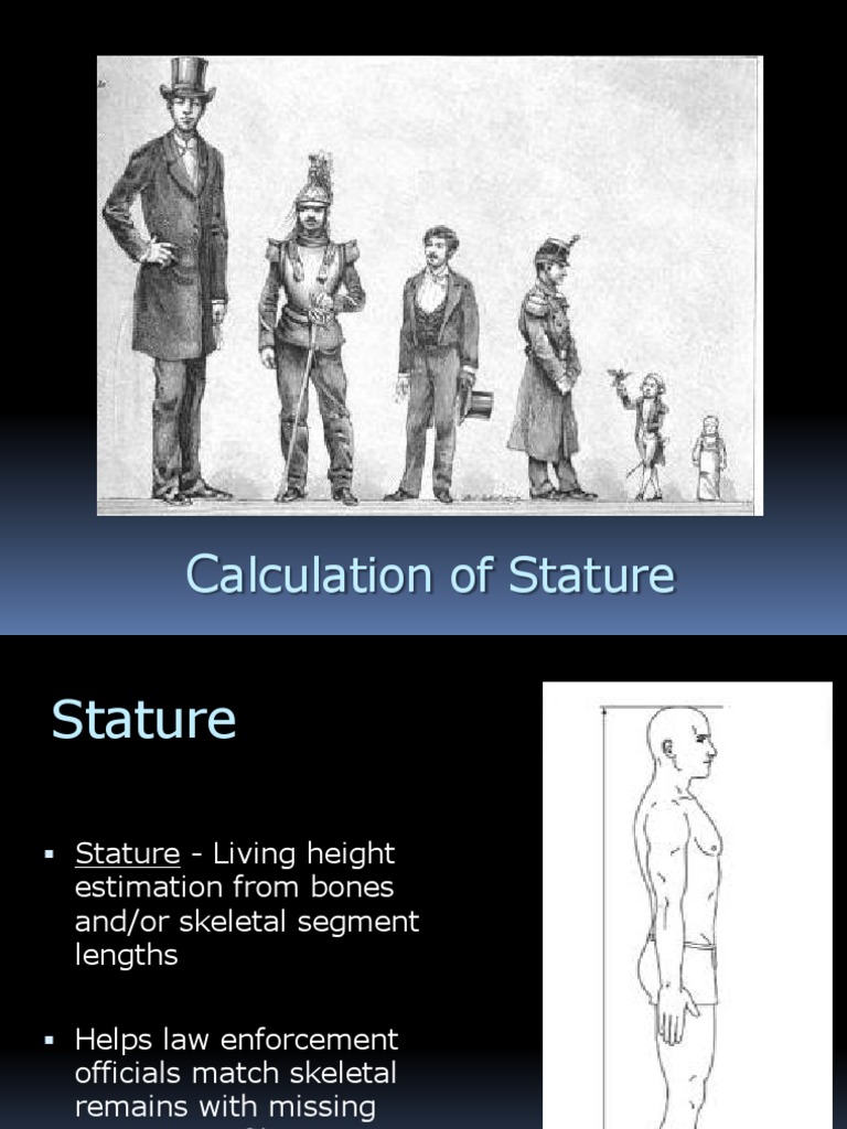 Calculation of Stature PDF | PDF | Skeleton | Vertebra
