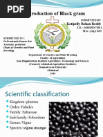 NSIC Seed Variety Catalogue 2023 | PDF | Rice | Organisms