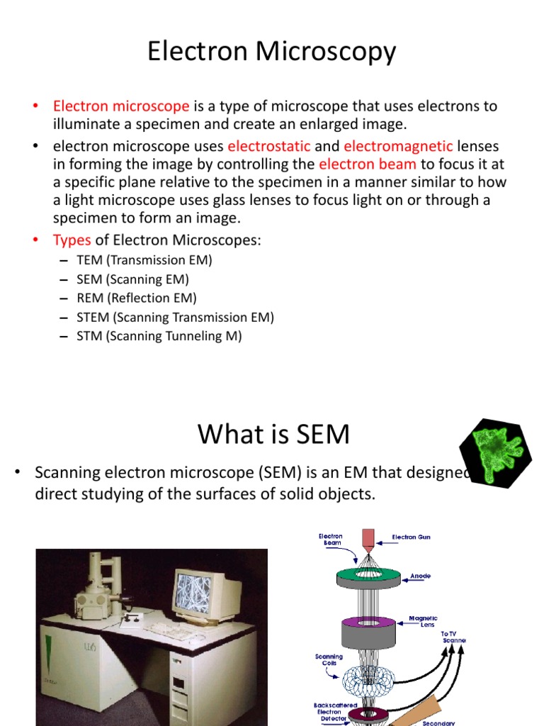 SEM Basic Lecture | PDF | Scanning Electron Microscope | Electron ...