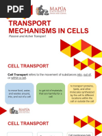 Diffusion Phet Simulation Sheet | PDF | Cell Membrane | Cell Biology