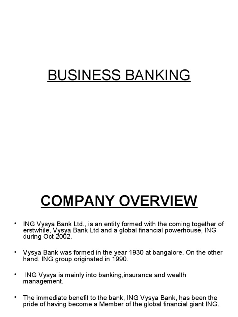 Business Banking | PDF | Banks | Ing Group