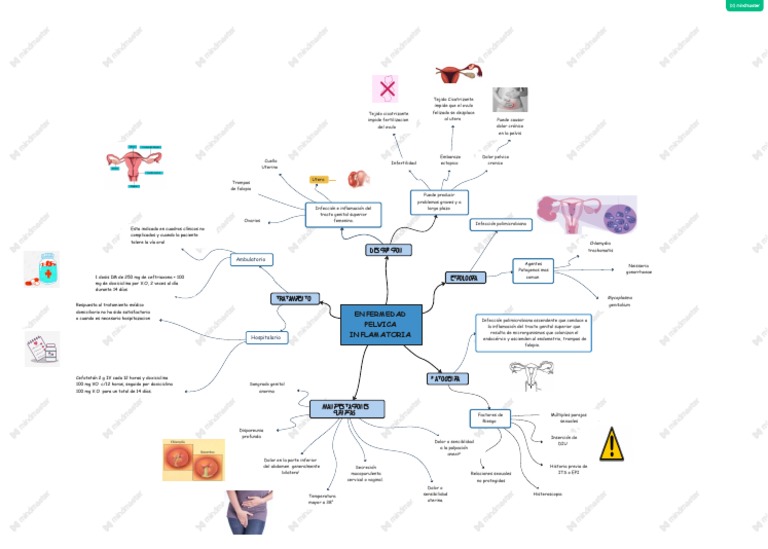 Mapa Enfermedad Pelvica | PDF | Útero | Esterilidad