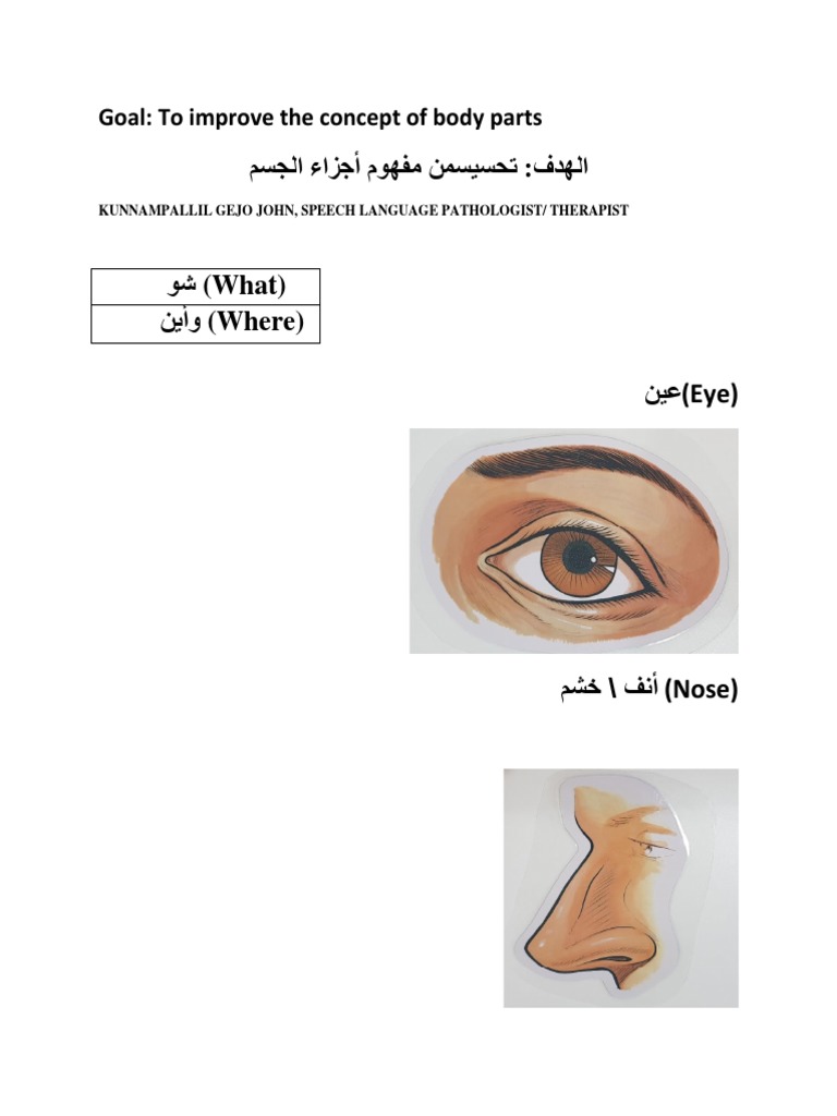 Concept of Body Parts With Pictures | PDF