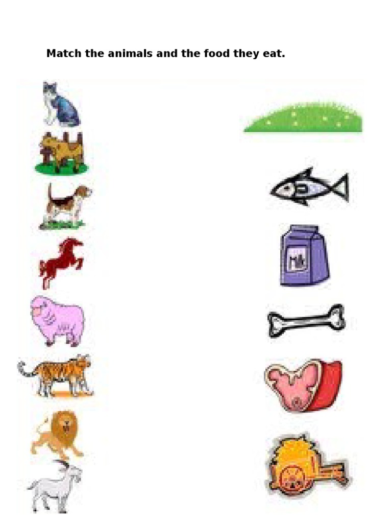 Animals and The Food They Eat Worksheets | PDF
