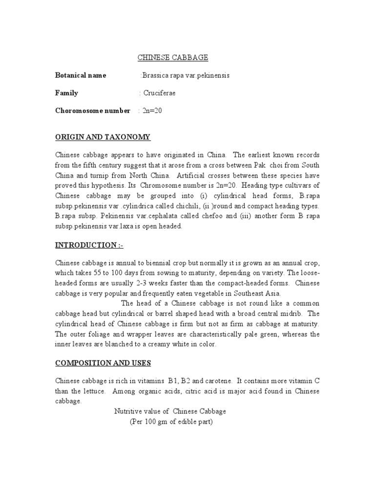 Chinese Cabbage | PDF | Cabbage | Sowing