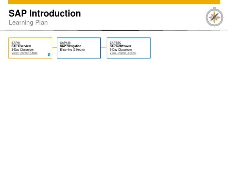 SAP Introduction | PDF