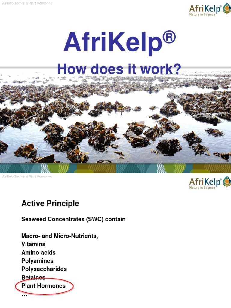 AfriKelp Technical Plant Hormones-AGROMOSTA-2014 | PDF | Plant Hormone ...