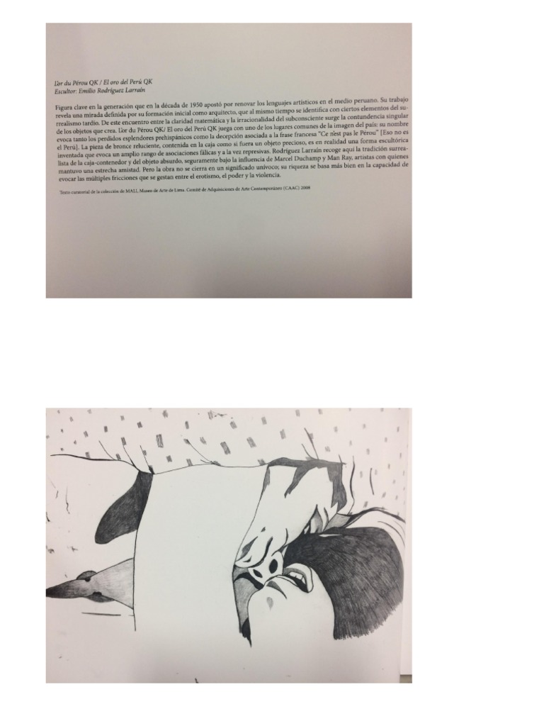 El Oro Del Perú. Estudio Sobre Arte y Misoginia Por Solange Jacobs | PDF