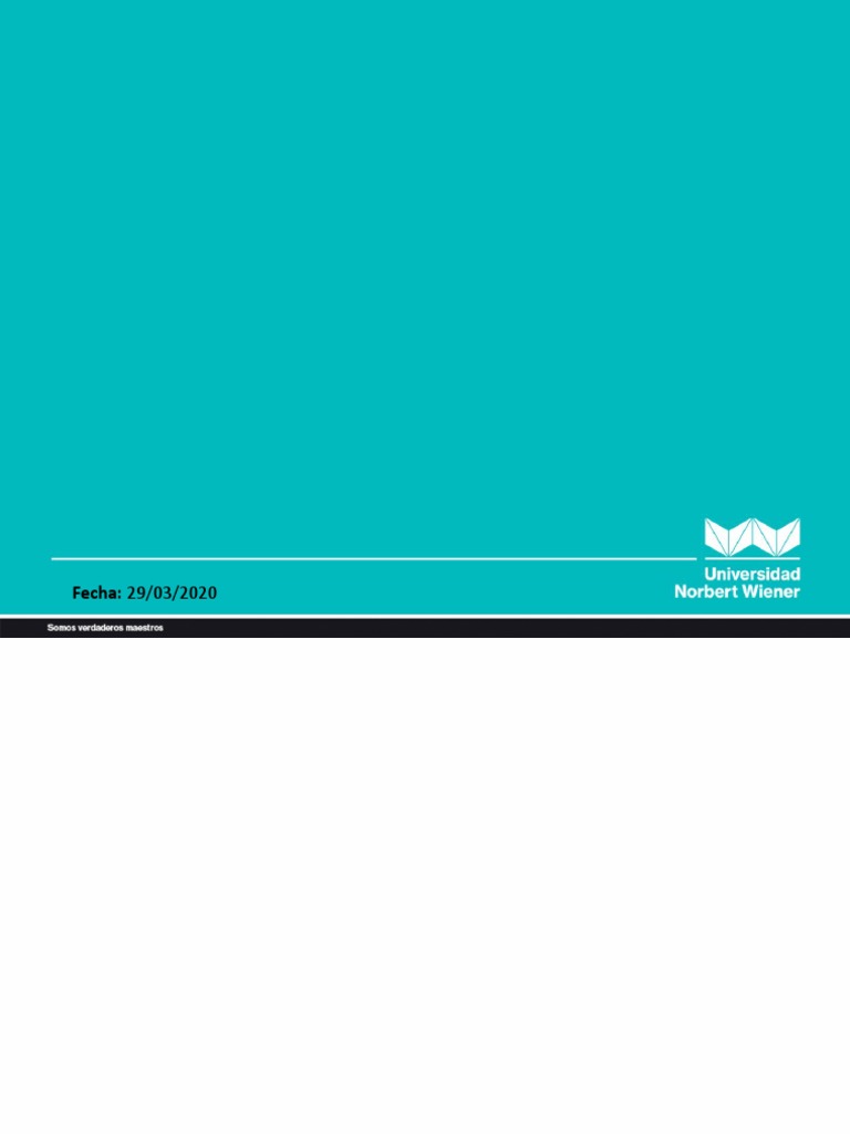 Modelo Nuevo PPT Wiener | PDF