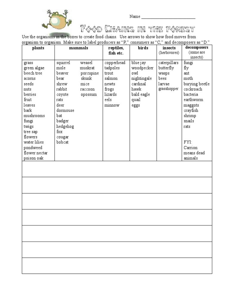 Forest Food Chain Creation Guide | PDF
