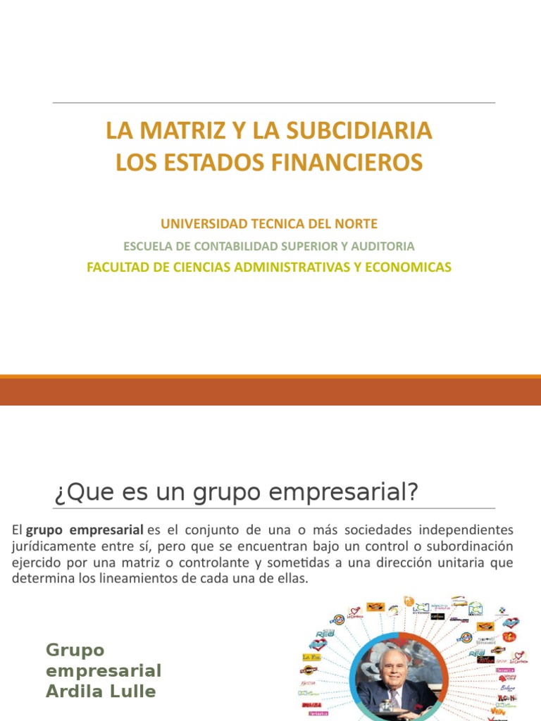 MATRIZ Y Subsidiaria | PDF | Compartir (Finanzas) | Subsidiario