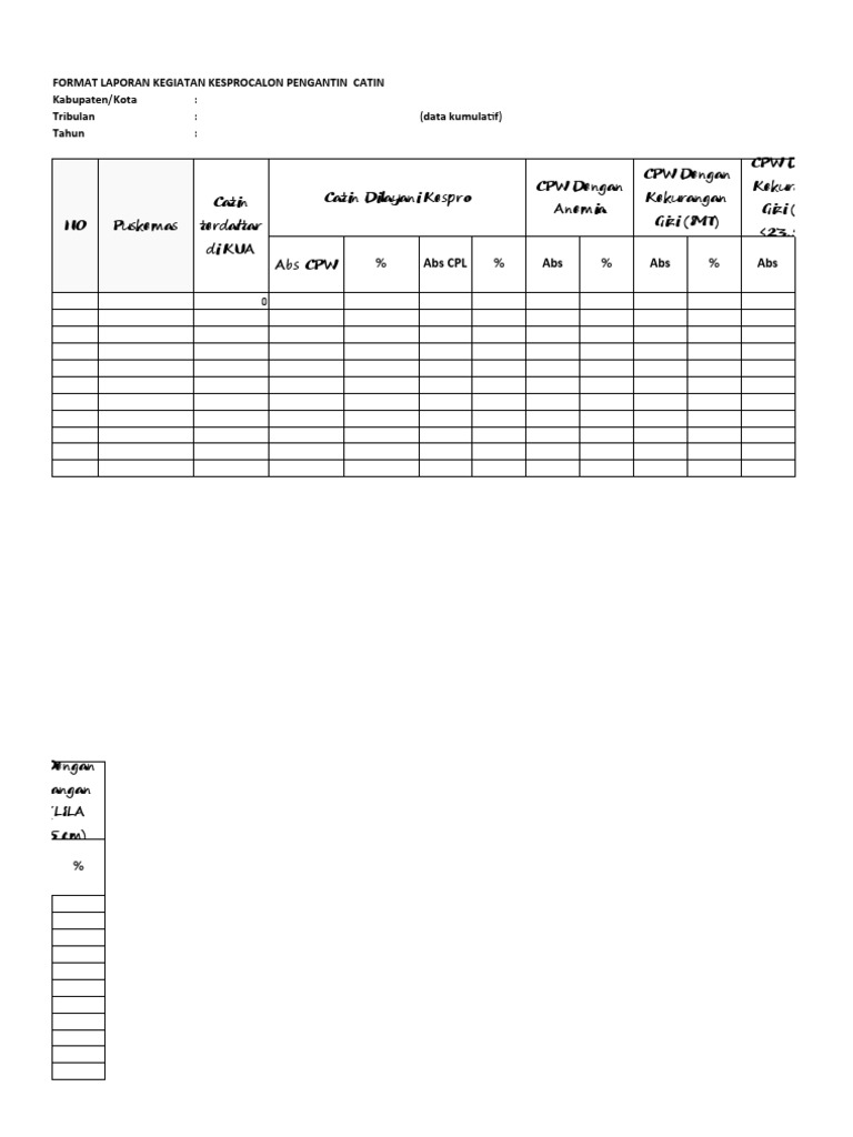 Format Laporan Catin | PDF