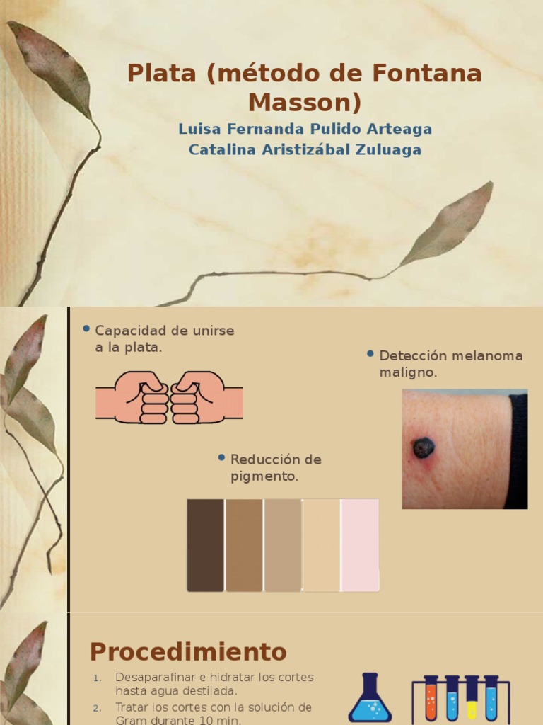 Plata (Método de Fontana Masson) | PDF