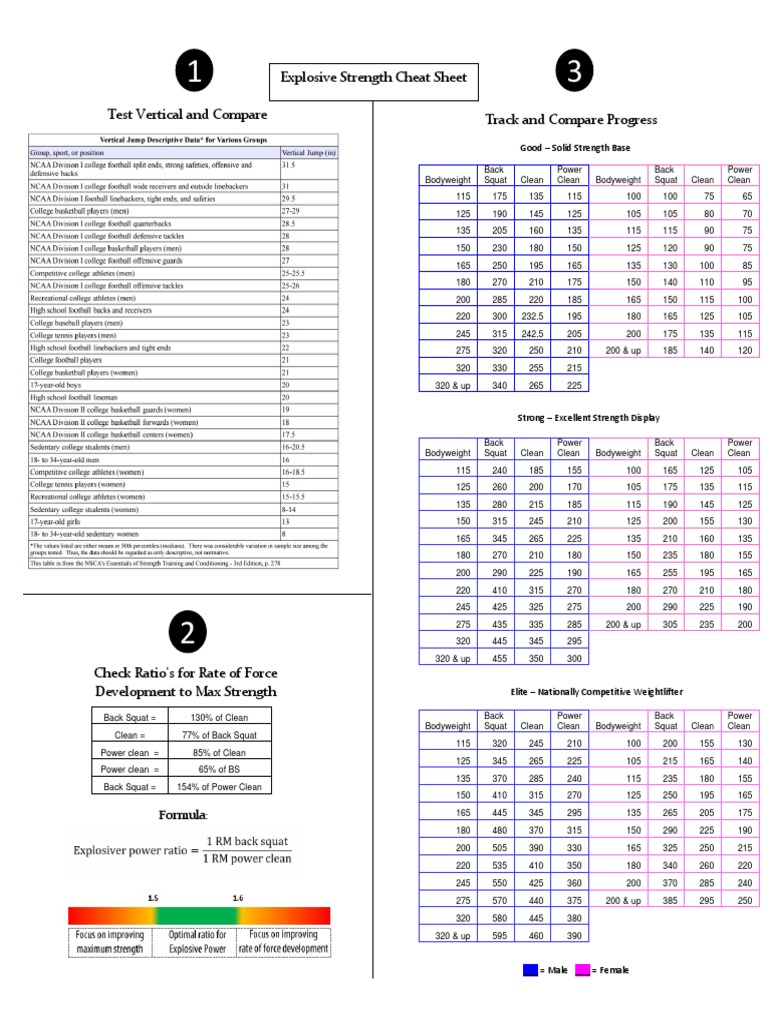 Explosive Strength Cheat Sheet: A Guide to Tracking Progress in Back ...