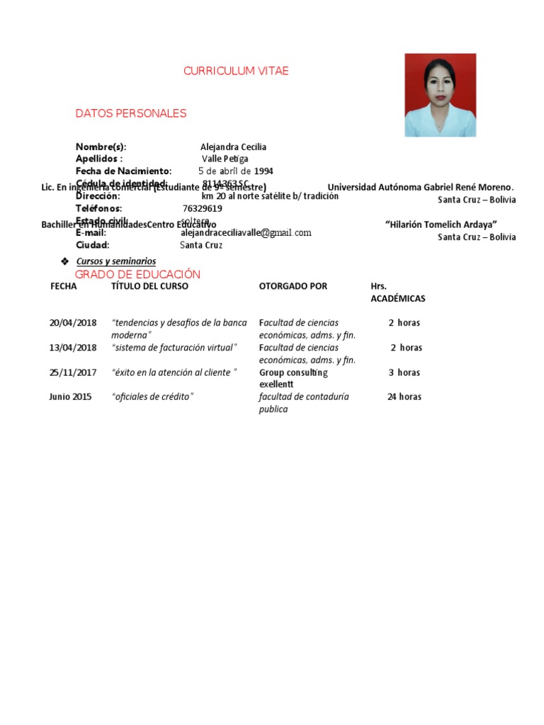 Cecilia Valle Curriculum | Descargar gratis PDF | Informática | Informática y tecnología de la ...