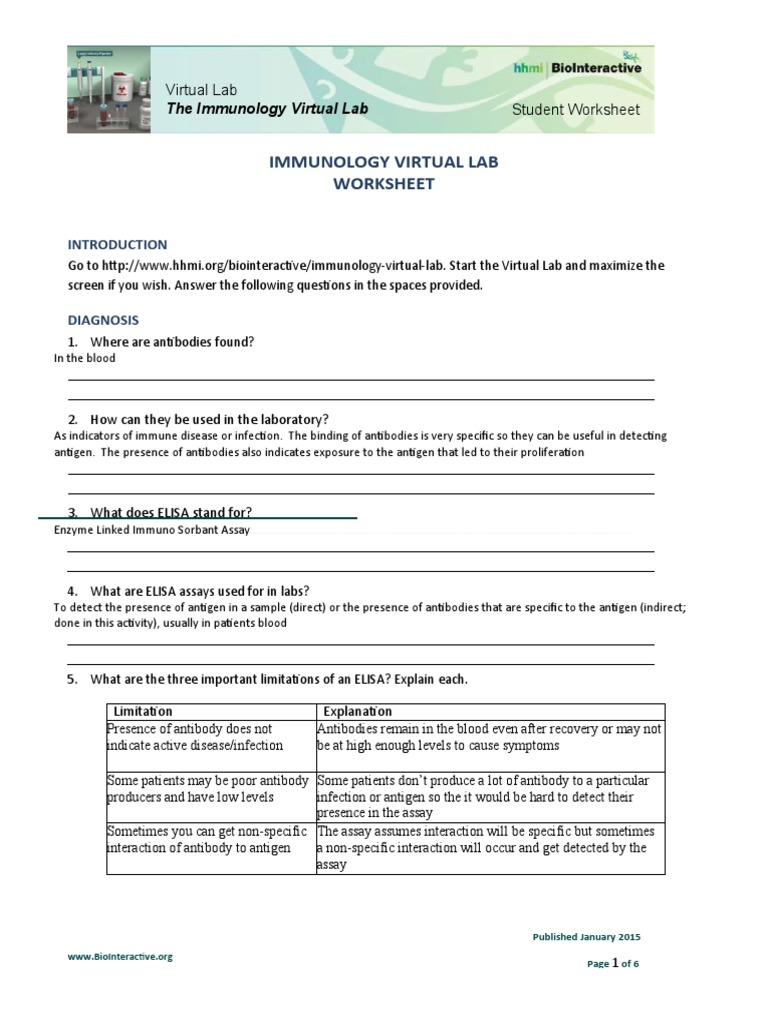 Immunology Lab Worksheet Student KEY | PDF | Elisa | Antibody