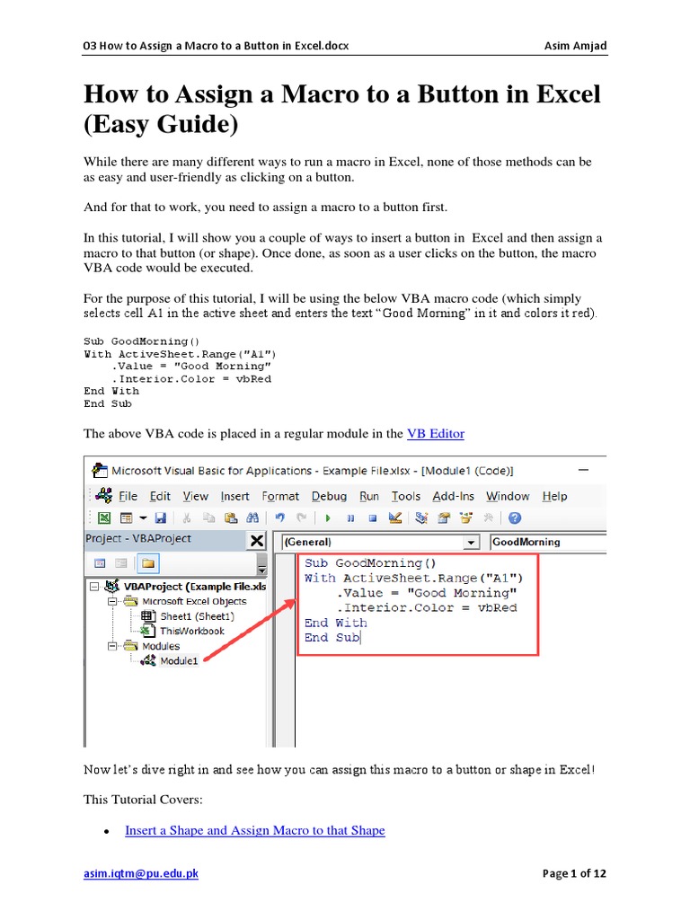 03 How To Assign A Macro To A Button In Excel Pdf Visual Basic For Applications Microsoft